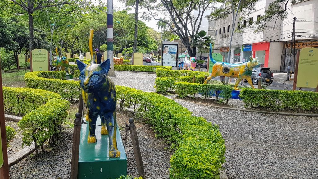 Things to do in Cali: my trip to Colombia's salsa capital